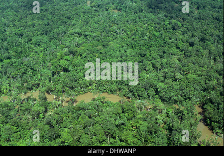 delta of amazonas river and rainforest, belem, state of para, amazon ...
