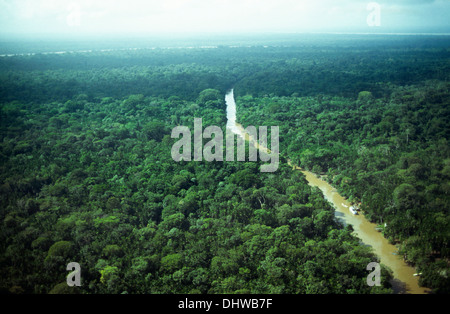 delta of amazonas river and rainforest, belem, state of para, amazon ...