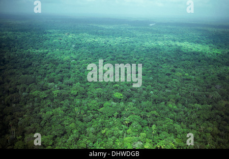 delta of amazonas river and rainforest, belem, state of para, amazon ...