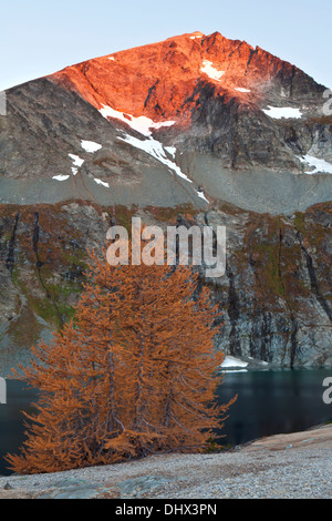 Mount Maude above Upper Ice Lake and larches, Glacier Peak Wilderness ...