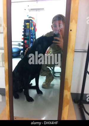 US MARINE RESCUES FOUR ORPHAN RABBITS A U.S. Marine Corps unit worker ...