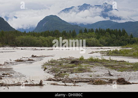 Lech valley, Austria, Tyrol, Alpine meadow at the stablalp Stock Photo ...