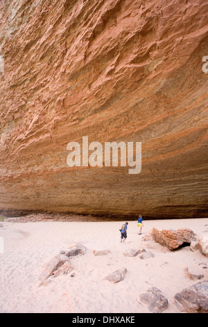 The Redwall Limestone layer of the Grand Canyon coated with various ...
