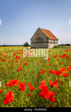 Field barn at Appleton-le-Street in the Ryedale district of North ...