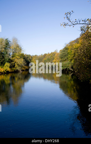 River Taff and Autumn colours, Blackweir, Pontcanna, Cardiff, Wales ...