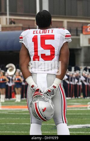 CHAMPAIGN, IL - NOVEMBER 15: Illinois Fighting Illini Forward Kendall ...