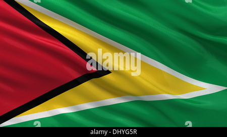 Flag of Guyana. Guyanese national banner and patriotic symbol. Official ...