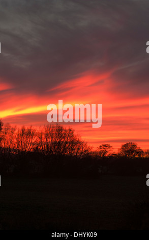 sunset over Winchelsea East Sussex UK, Sunset through trees silhouette ...