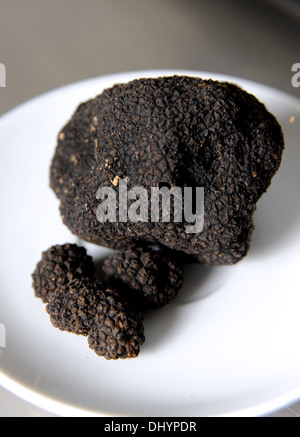 Truffles on a white plate Stock Photo - Alamy