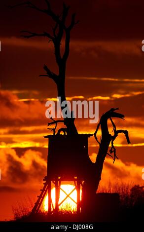 Briesen, Germany. 11th Nov, 2013. The evening sky shines red under dark ...