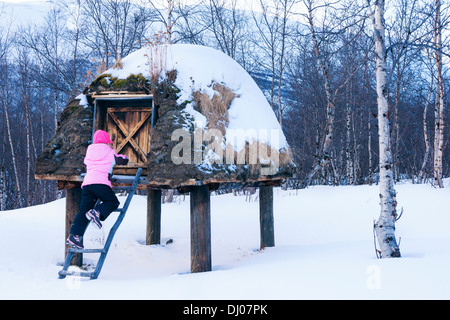 Sami culture: a a turf hut (darfegoahti) in a Sami Camp in Abisko ...