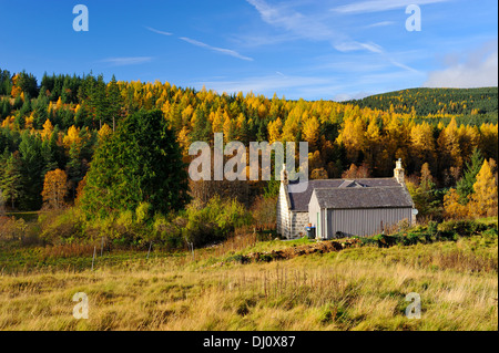 Autumn colours in Glen Muick near Ballater, Aberdeenshire, Scotland ...