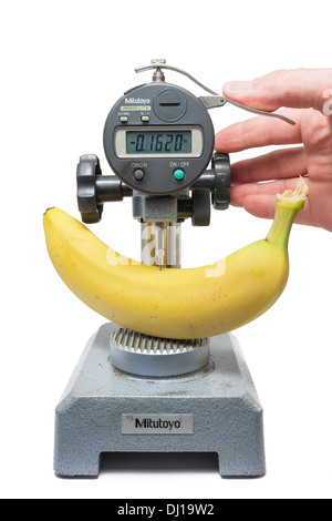 Measuring fruit with test gauge Stock Photo - Alamy