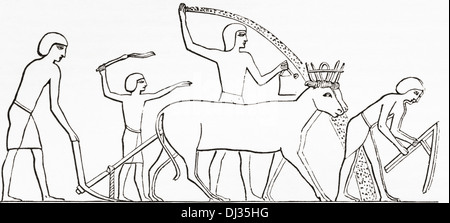 agriculture, agricultural work, plowing, plough drawn by hand, circa ...