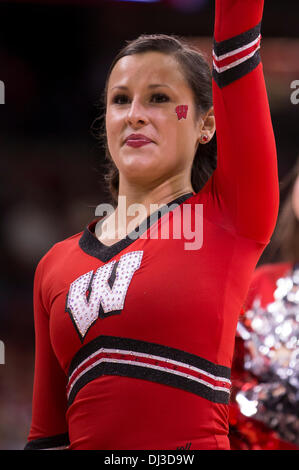 Madison, Wisconsin, USA. 19th Nov, 2013. November 19, 2013: Wisconsin ...