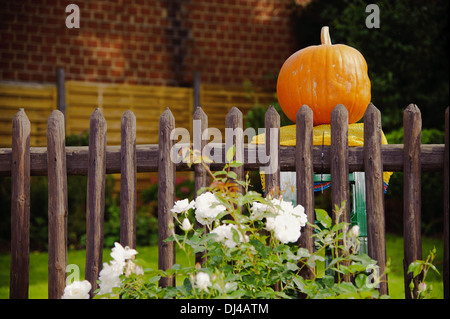 Ripe pumpkin behind a garden fence Stock Photo - Alamy