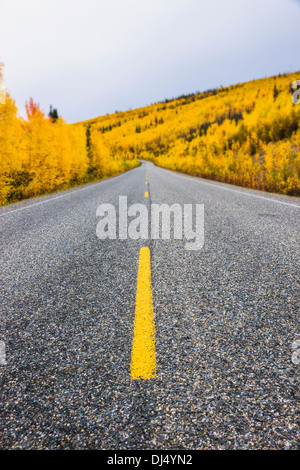 Road Detail Traveling The Steese Highway North Of Fairbanks In Autumn ...