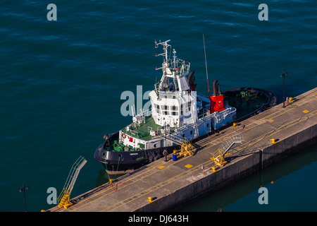 Harbor port tugs pilot assist boat vessels for ships a air flying birds ...