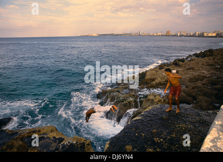 diving from the malecon, vedado, havana, cuba Stock Photo - Alamy