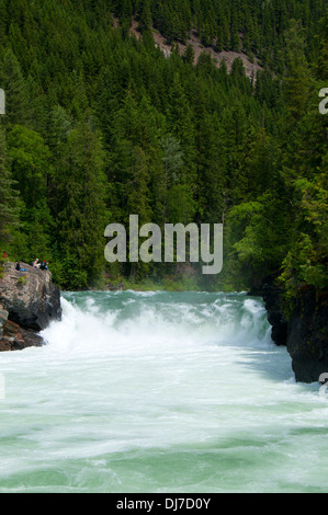Overlander Falls on the Fraser River in Mount Robson Provincial Park in ...
