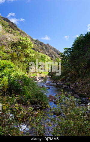 Scenic view of the Iao Valley in Wailuku, USA Stock Photo - Alamy