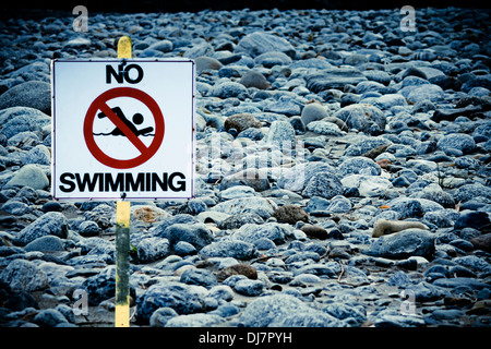 Signboard No Swimming at Noa-Dehing river, Namdapha, Arunachal Pradesh ...
