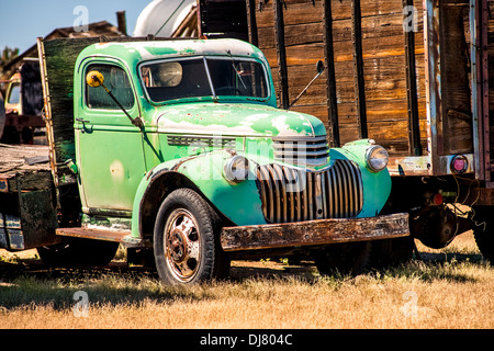Old abandoned rusty chevy Stock Photo - Alamy
