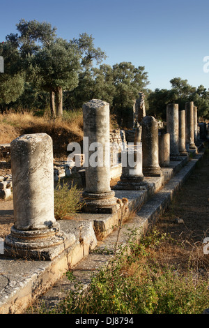 Ancient City of Iasos, Milas, Mugla, Turkey Stock Photo - Alamy