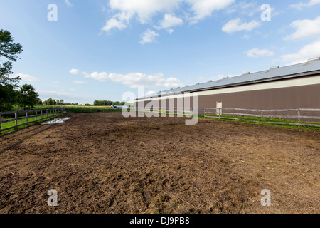 Empty riding ring on horse farm Stock Photo - Alamy