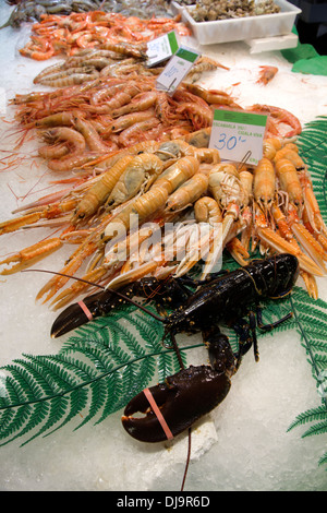 Counter with fresh fish and shrimps on display at covered fish market ...
