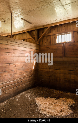 Farm, empty stable Stock Photo - Alamy