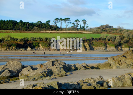 Wonwell Beach on the Erme Estuary, Devon, England Stock Photo - Alamy