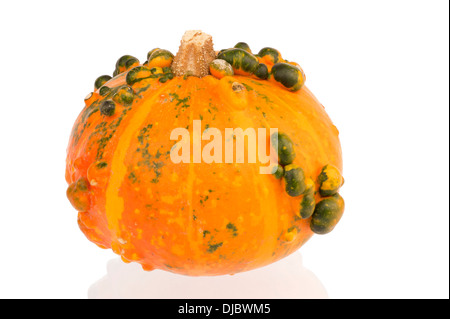Orange yellow calabash gourd chinese lantern with green bulbs isolated ...