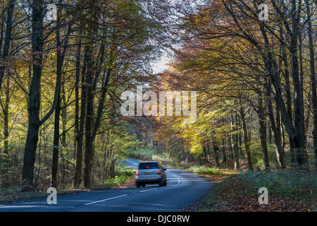 Bend in road in Tidenham Chase, Forest of Dean, Gloucestershire England ...
