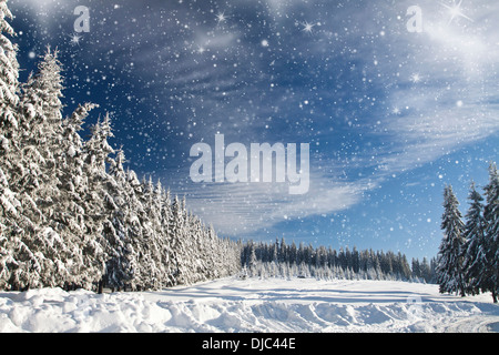 Pine trees cowered with snow in the snowfall Stock Photo - Alamy