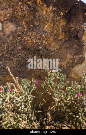 Petroglyphs, Purgatoire River, Picketwire Canyonlands, Comanche ...
