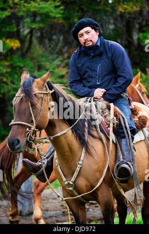 Chilean Gaucho saddle Stock Photo - Alamy