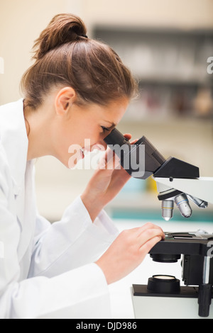 beautiful science student looking into a microscope in a laboratory ...