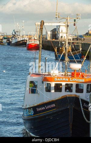 Red fishing boat in Amble harbour, UK Stock Photo - Alamy