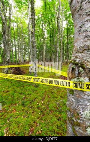 Crime Scene Tape Wrapped Around Trees In Forest Stock Photo - Alamy