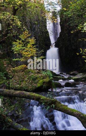 Catrigg Force waterfall in the Yorkshire Dales Stock Photo - Alamy