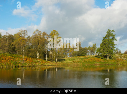 Ghyll Head Reservoir, South Lakeland, Lake District National Park ...
