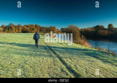 River Eden Rickerby Park Carlisle Stock Photo - Alamy
