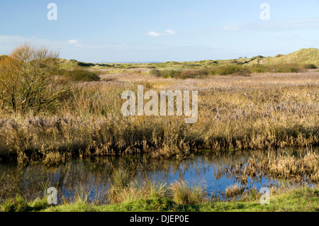 River Kenfig and reed beds, Kenfig National Nature Reserve near Port ...