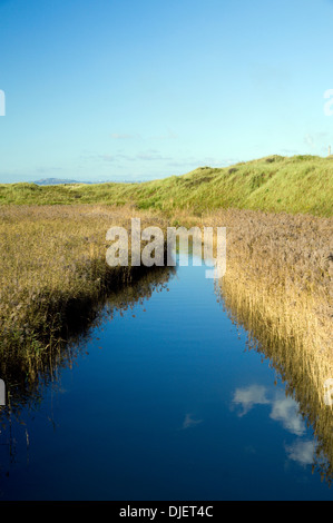 River Kenfig and reed beds, Kenfig National Nature Reserve near Port ...