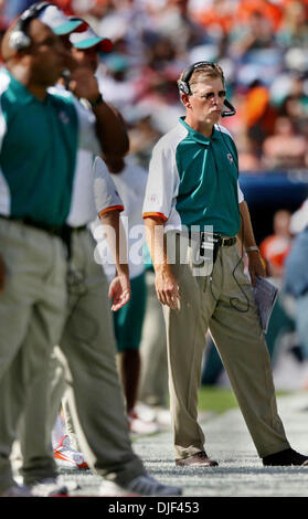 Dec 30, 2007 - Miami Gardens, Florida, USA - Dolphins QB JOHN BECK ...