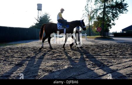 Jun 02, 2010 - Elmont, New York, USA - Jockey RICHARD MIGLIORE with ...
