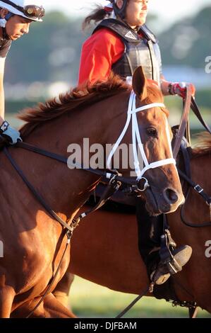 Jun 02, 2010 - Elmont, New York, USA - Jockey RICHARD MIGLIORE with ...