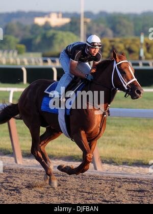 Jun 02, 2010 - Elmont, New York, USA - Jockey RICHARD MIGLIORE with ...