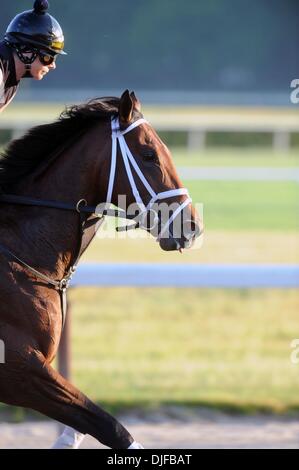 Jun 02, 2010 - Elmont, New York, USA - Jockey RICHARD MIGLIORE with ...